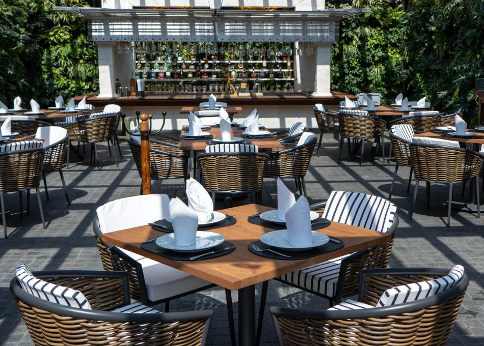 Best restaurants in Cancun, Best Dinner In Cancun